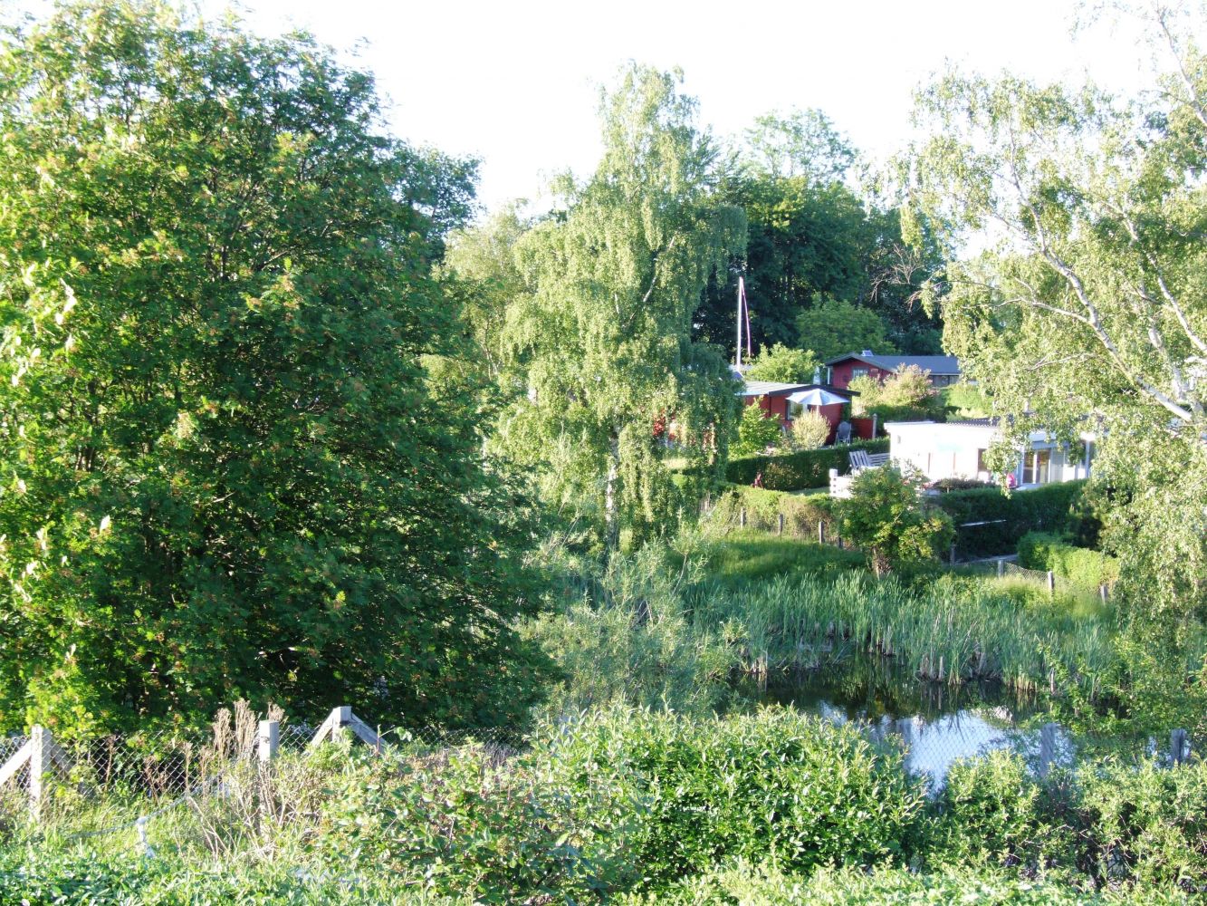 Pindemosen H/F - Find Kolonihave